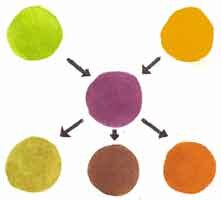 Using a Split Complementary Color Scheme for a Sophisticated Palette